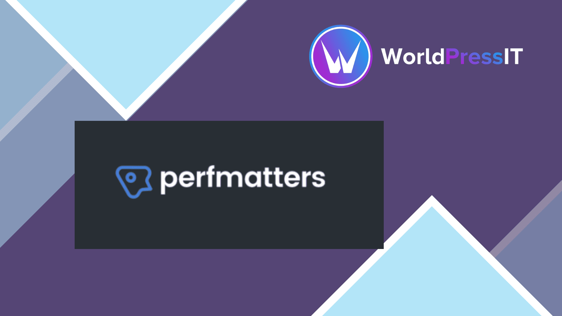 Perfmatters WordPress Plugin – WorldPress IT